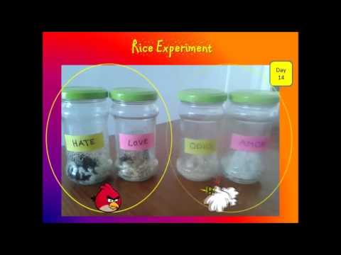 The Rice Experiment. Mind Matters. - YouTube