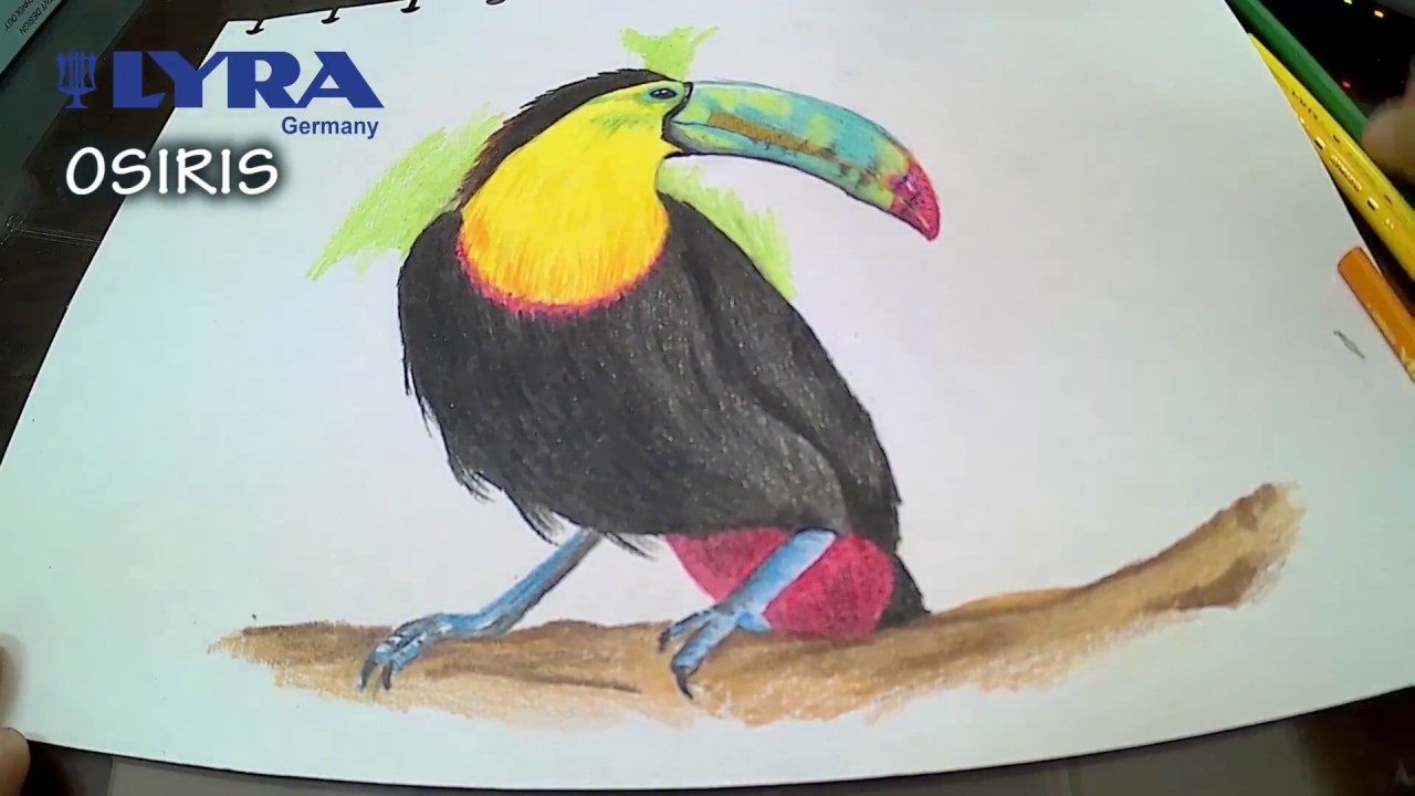 Lyra Osiris - Bird - YouTube