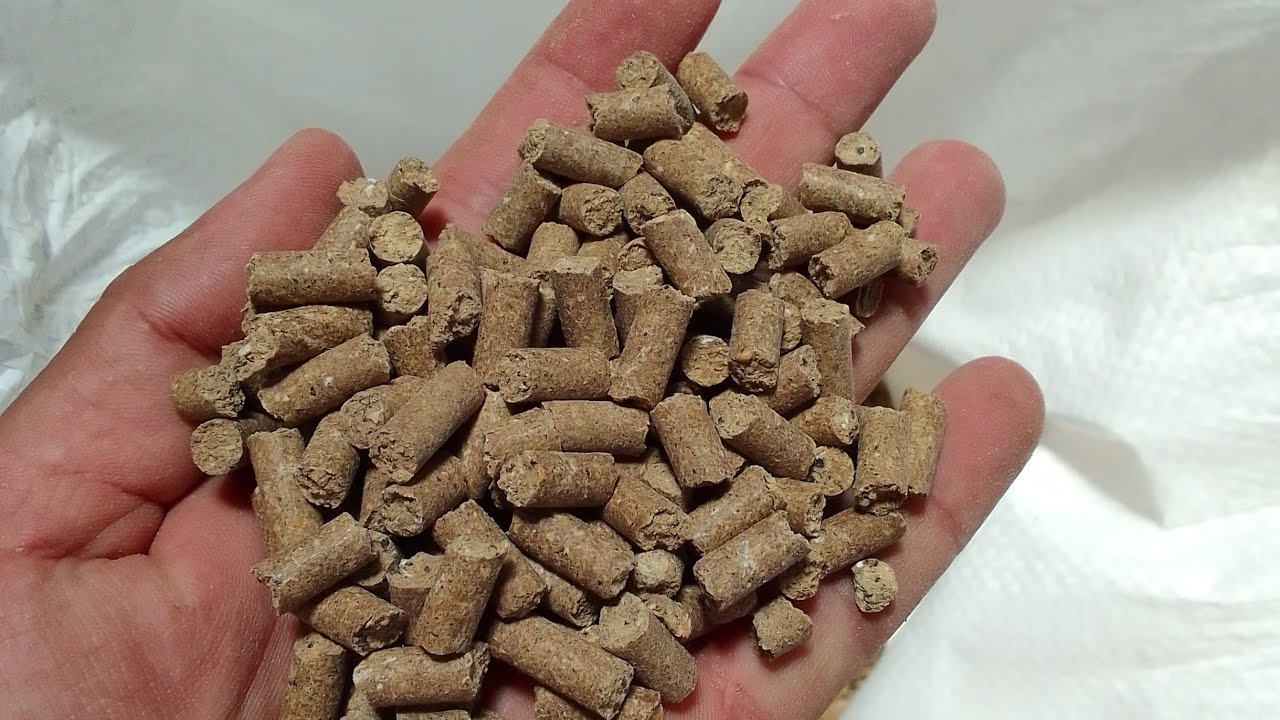 pellet machine, peletizadora, la peletizacion NO solo es la máquina ...