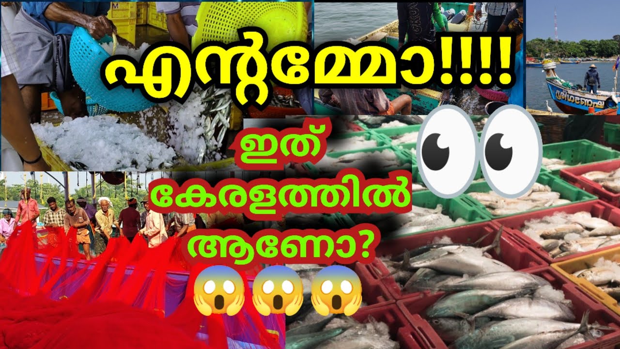 അത്ഭുത ഫിഷ് ഹാർബർ 😱😱 | neendakara fish harbour | #fishing # ...