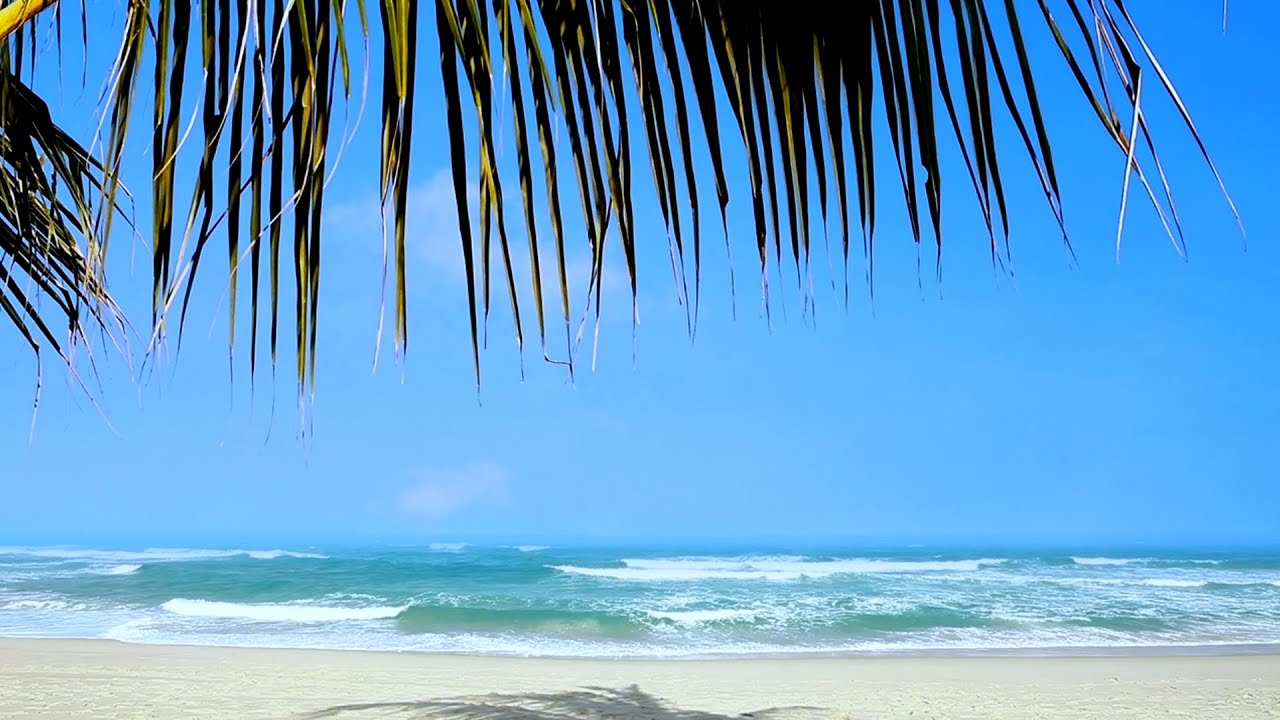 Relaxing Waves, Tropical Beach | Ocean Sounds for Meditation, Study ...