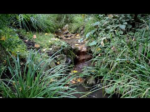 Nature Video Channel:Relaxing Water Creek Sound - YouTube