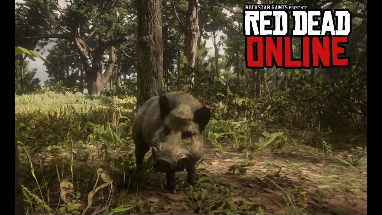 Red Dead Online - I am a Boar now (IT WILL COST YOU 10 GOLD BAR ...