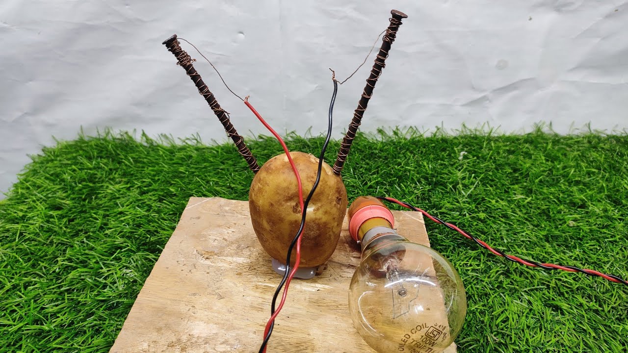 How to Make A Free Electric Energy Generator Using The Potato Simple ...