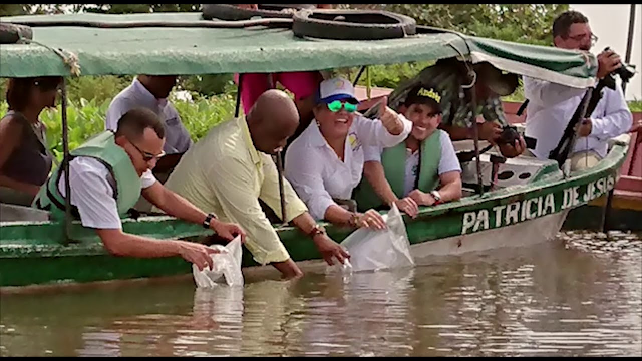 Hechos de paz ambiental en el departamento del Cesar - YouTube