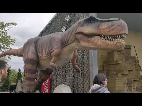 T-rex Animatronics 🦖 - Dino Zoo - Ring tailed Lemurs - Copenhagen Zoo - Denmark - May 2022