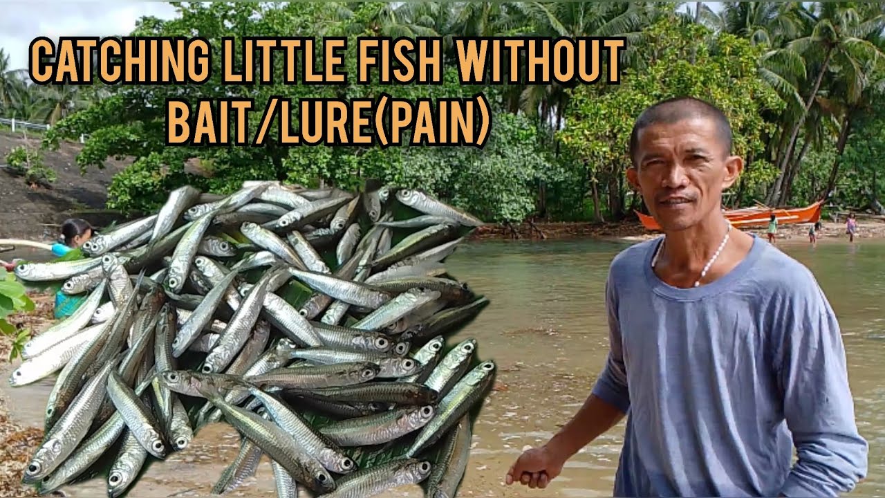 Catching little fish without bait/lure(pain) | Fresh seafood | Kinilaw ...