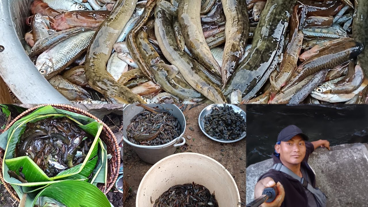 naga traditional Fishing in the river (Thsingaki River) - YouTube