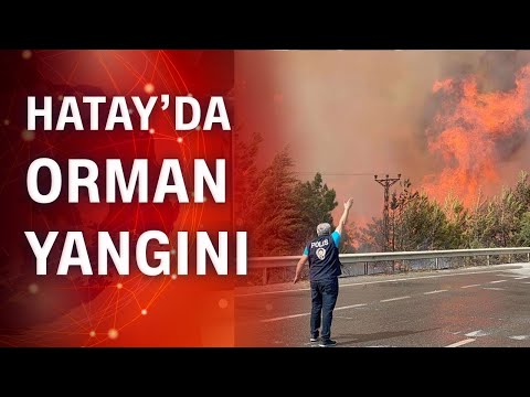 Bakan Pakdemirli: Hatay'daki tüm orman yangınlarını kontrol altına aldık
