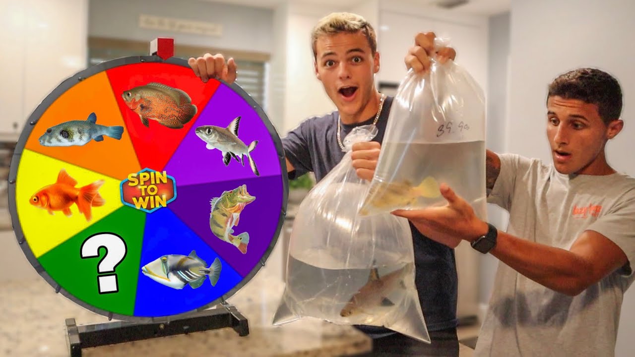 Spin the Wheel & BUY what FISH it Lands on - Challenge - YouTube