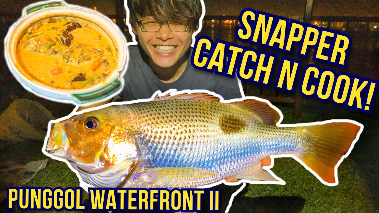 Punggol Watefront Fishing | Golden Snapper | Catch and Cook | Fish Head ...
