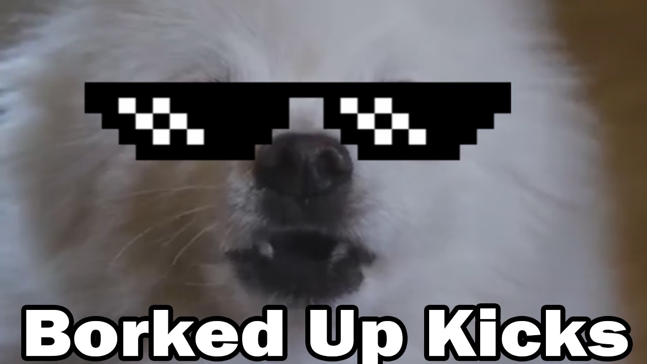 Borked Up Kicks | Pumped Up Kicks vs Gabe the Dog - YouTube