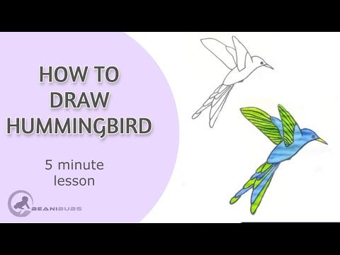 How to draw a Hummingbird - YouTube