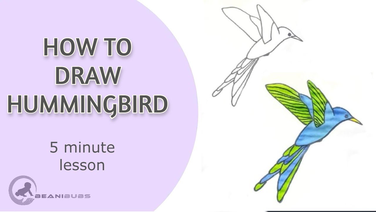 How to draw a Hummingbird - YouTube