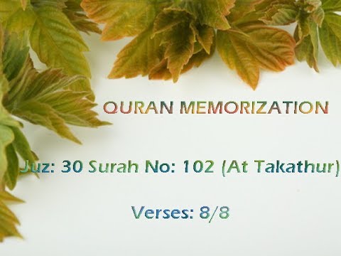 Surah At Takathur 102 Verses 1 to 8