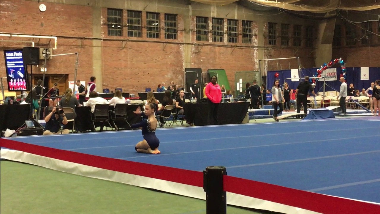 Sarah Mauro 2017 Level 8 Gymnastics State Floor Champion - YouTube