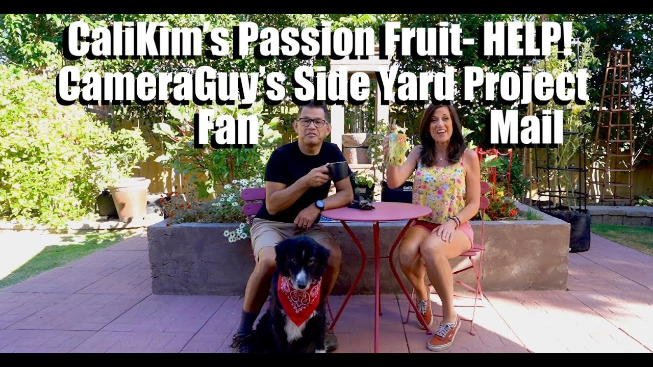 CaliKim’s Passion Fruit Vine - Help! CameraGuy’s Side Yard Project ...