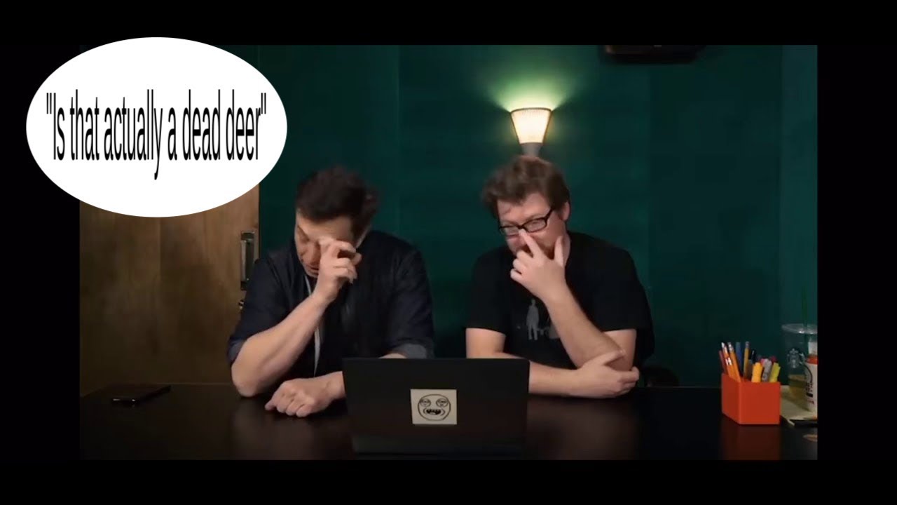 Elon musk laughs at dead deer Meme on meme review - YouTube