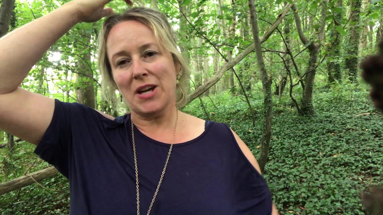 Let go of Sugar Cravings/ addictions - Tapping With Kate Winch - YouTube