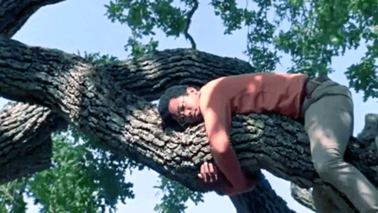 BEAT tree hugger POP X HIPHOP X DABABY X DOJA CAT X TYGA X POST MALONE ...