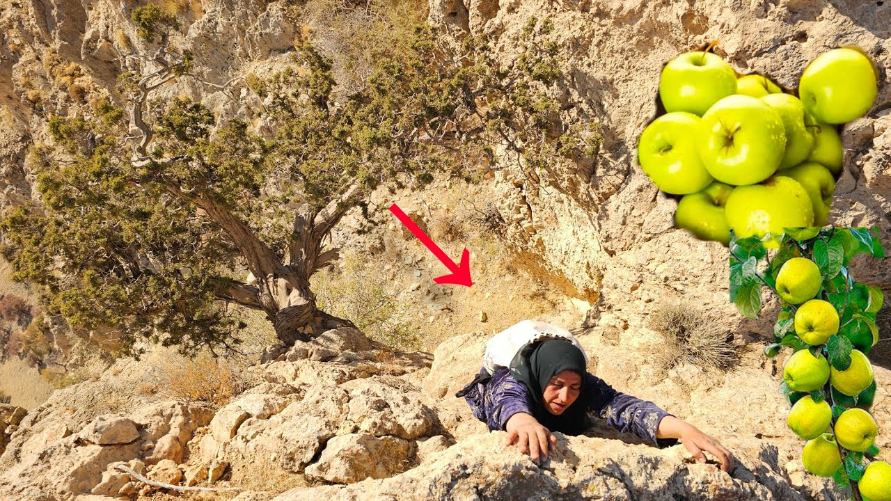 Death-Resistant Girls: The Deadliest Mountain Workers ⚡#peren #nomadic ...