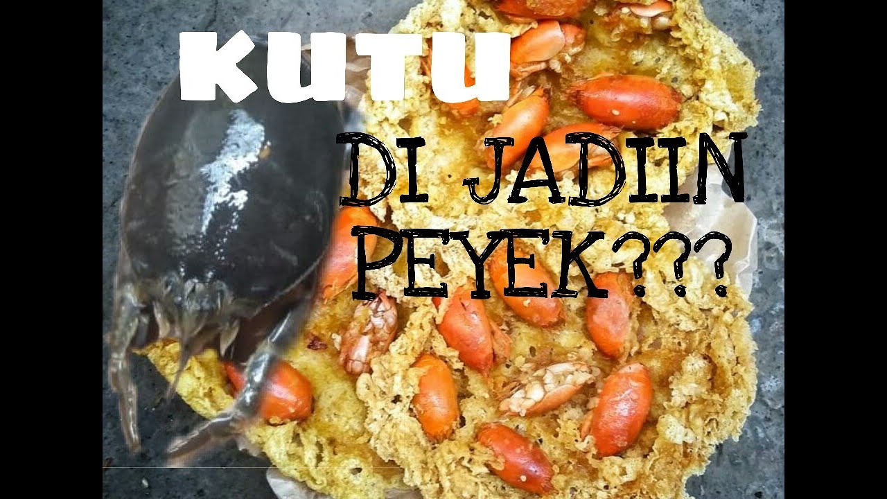 KUTU LAUT/ UNDUR-UNDUR / YUTUK SAKING BANYAKNYA DI PASIR. PAS JADI ...