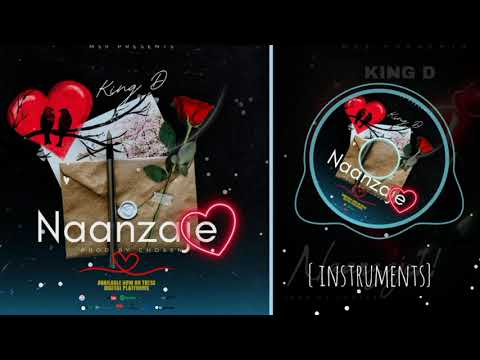 King D_Naanzaje (official lyrics video)