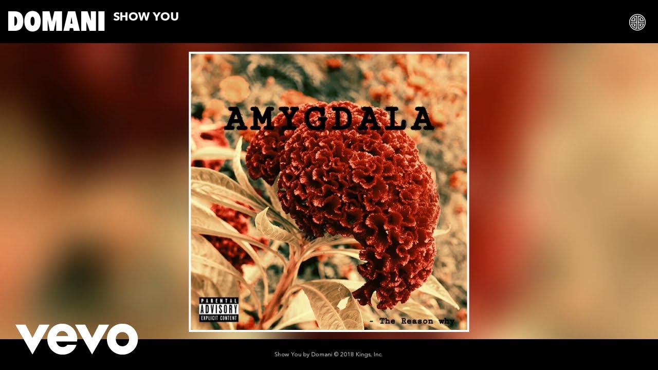 Domani - Show You (Audio) - YouTube