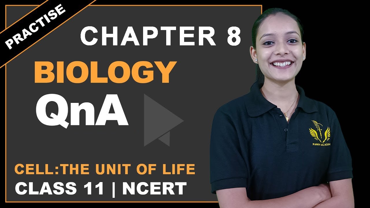 Cell The Unit of Life Chapter 8 | Class 11 NCERT Biology Questions and ...