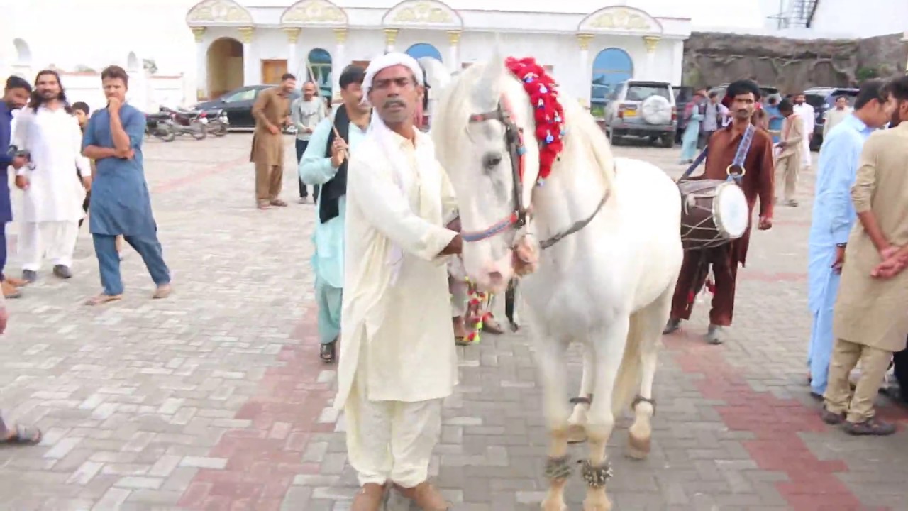 ZAFAR SUPARI HIGHLIGHTS from GUJRAT tour 2019 - YouTube