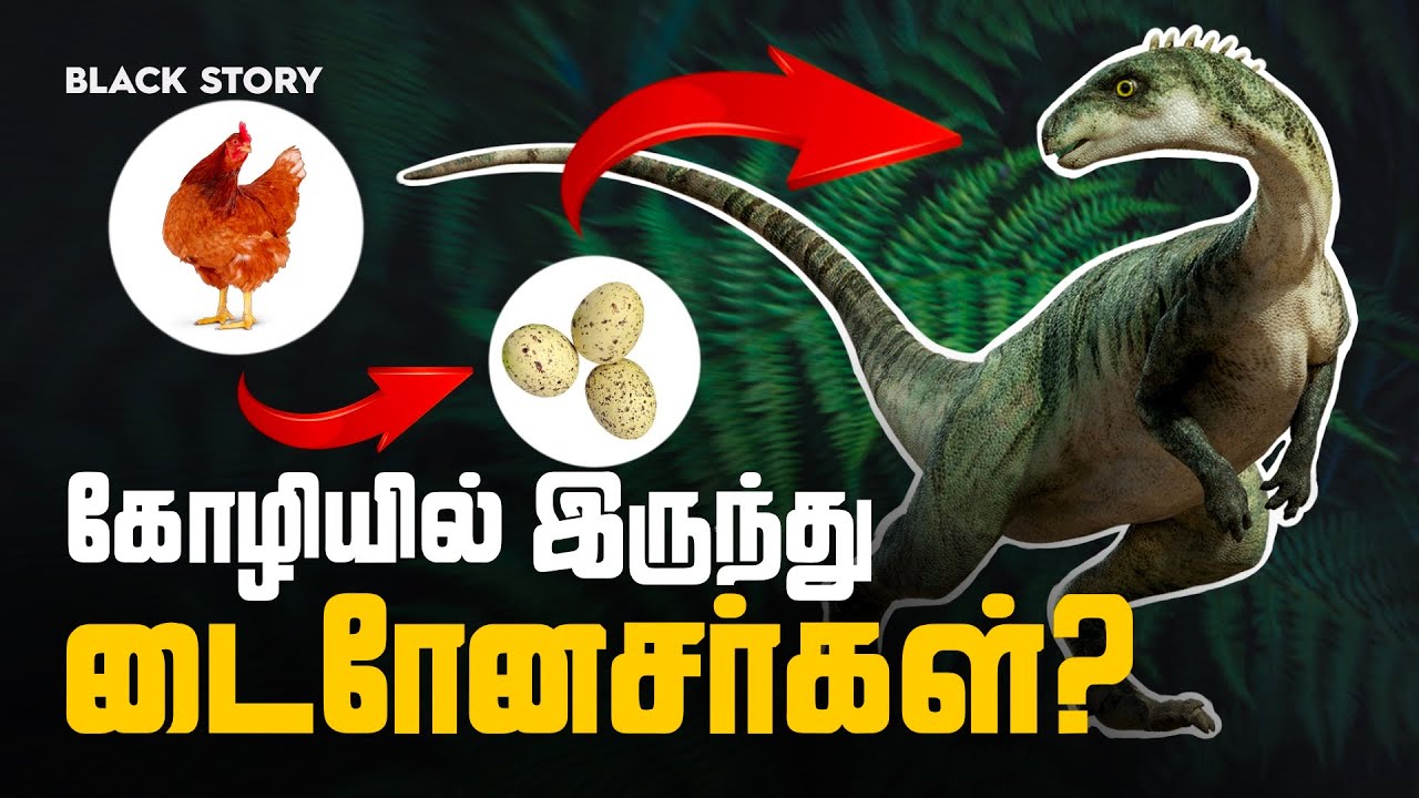 டைனோசர்களை உயிர்ப்பிக்க முடியுமா? Can We Revive Dinosaurs ...