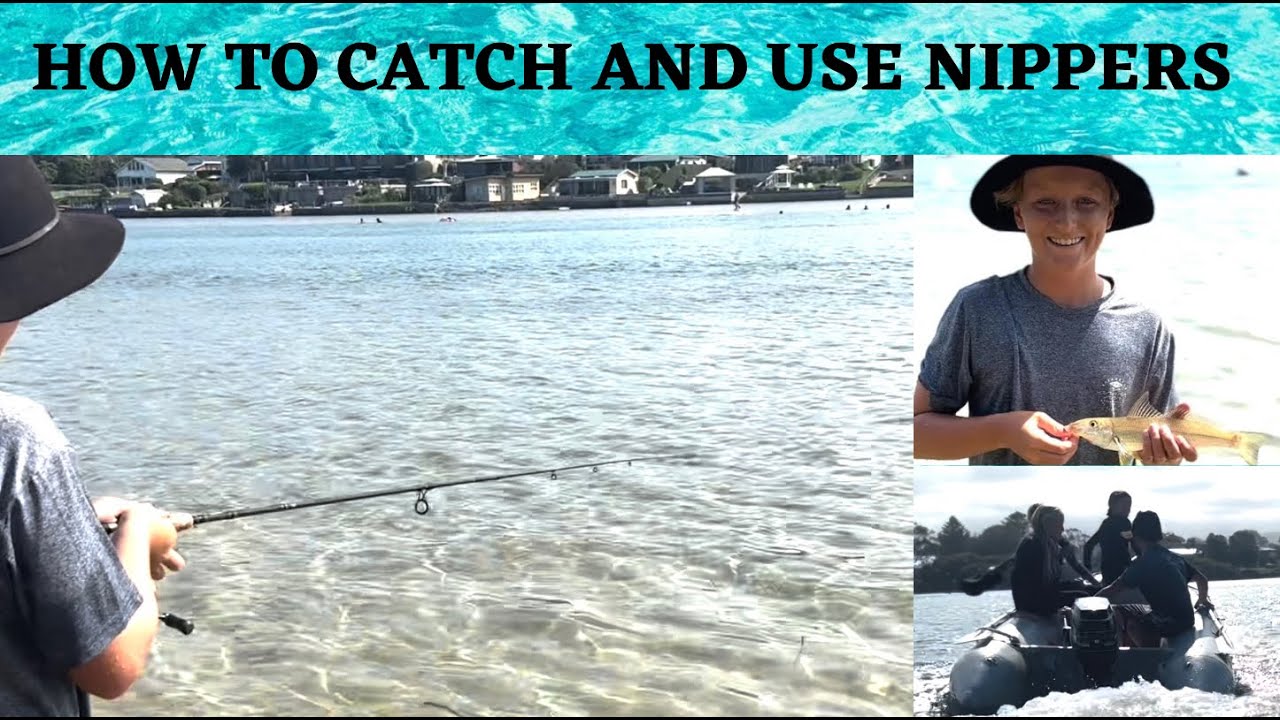 Fishing With Nippers SouthCoast of NSW (Big Whiting Caught By Hand ...
