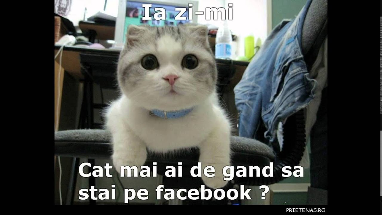 Poze comice 2016 - YouTube