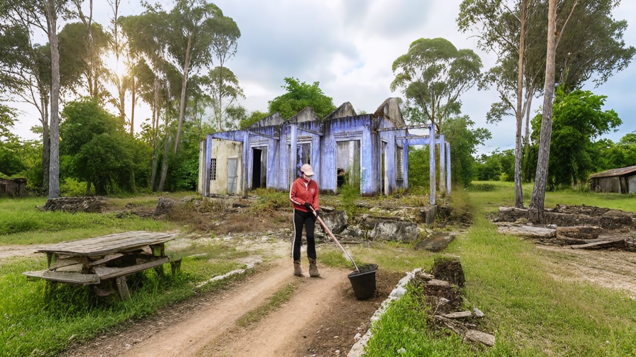 Help the poor girl clean her house, which is no longer intact after a ...