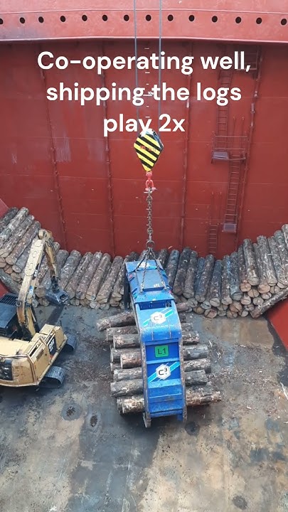 Loading logs in holds # #bulkcarrier #loading #log #logging #stacking # ...