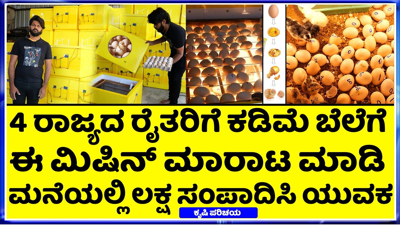 Super technological Hatcher - Fully Automatic Egg Incubator -Chicken ...