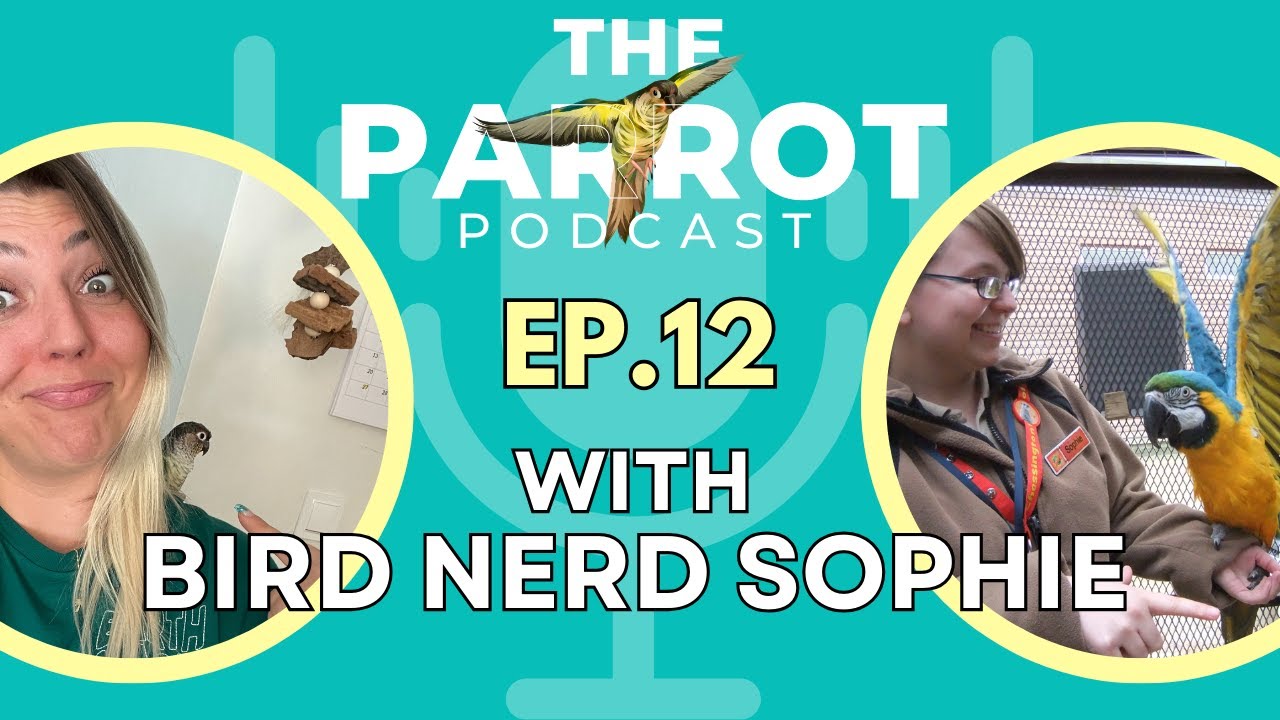 🎙️Wild Parrots, Sleep Positions, Travel, Zookeeper Insights | The ...