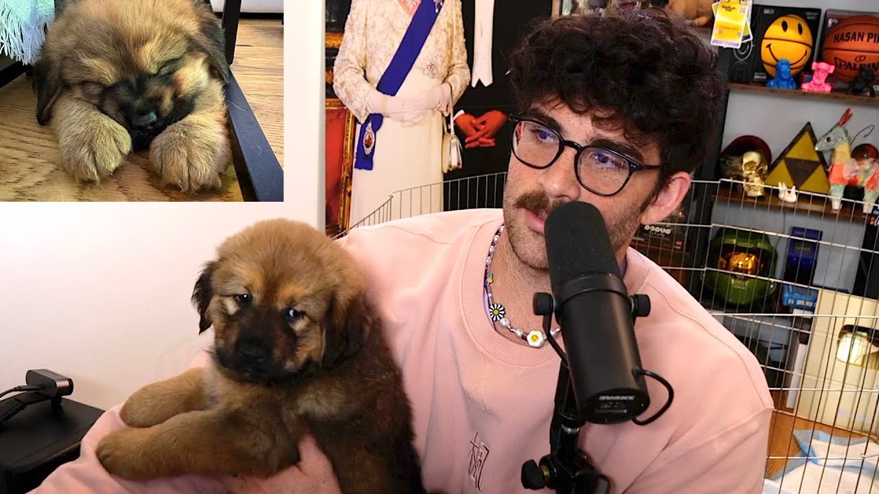 HasanAbi Gets Distracted By His New Puppy #1| HasanAbi Reacts - YouTube