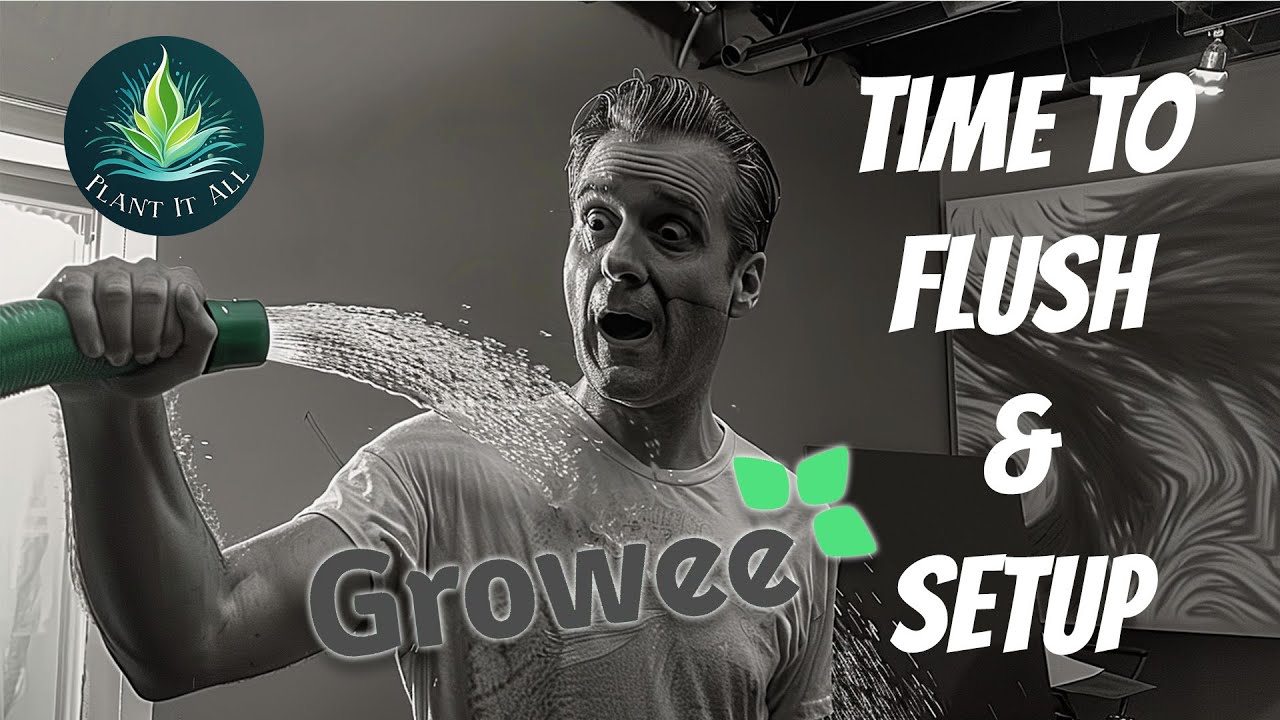 Growee Pro - First Flush & Start Growee Management - Everything you ...