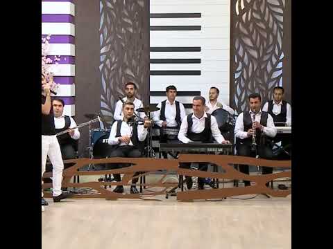 Pərviz bülbülə və  Turkan