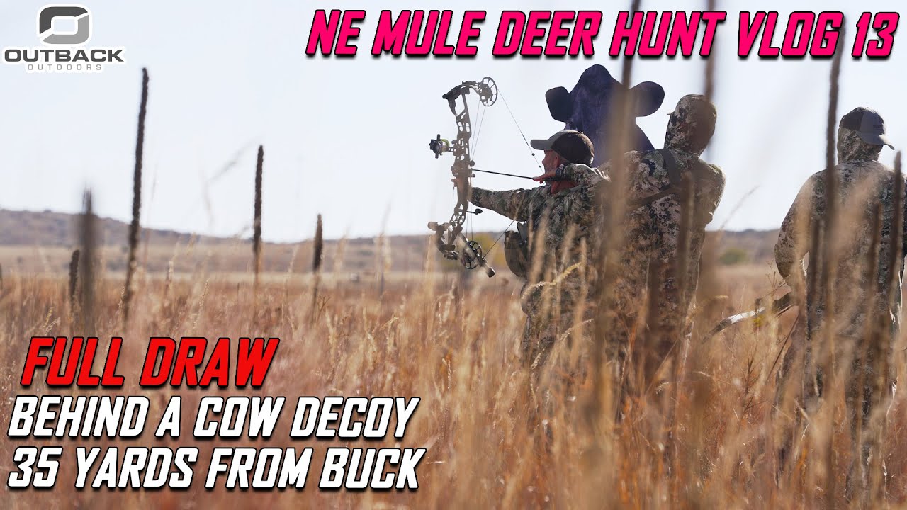 FULL DRAW BEHIND A COW DECOY, BUCK AT 35 YARDS - NE MULE DEER HUNT VLOG ...