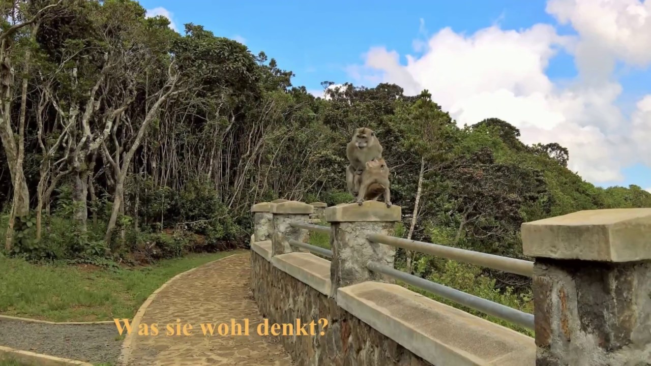 Wandern Mauritius - Alexandra Falls - YouTube