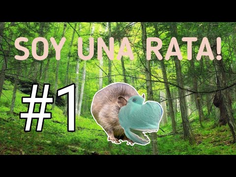 soy una rata episodio #1| rat simulador - YouTube