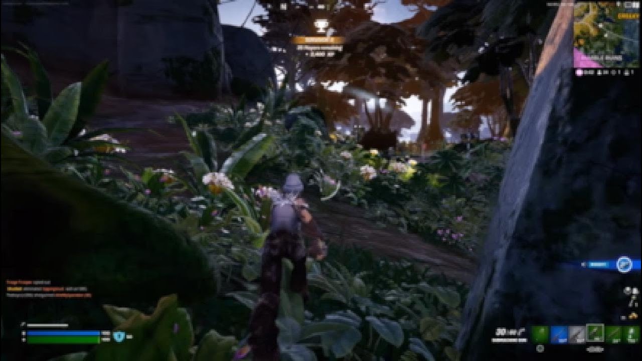 My Fortnite Grandma solo win Saturday - YouTube