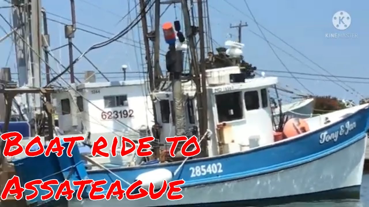 Assateague Island Adventure boat tour - YouTube