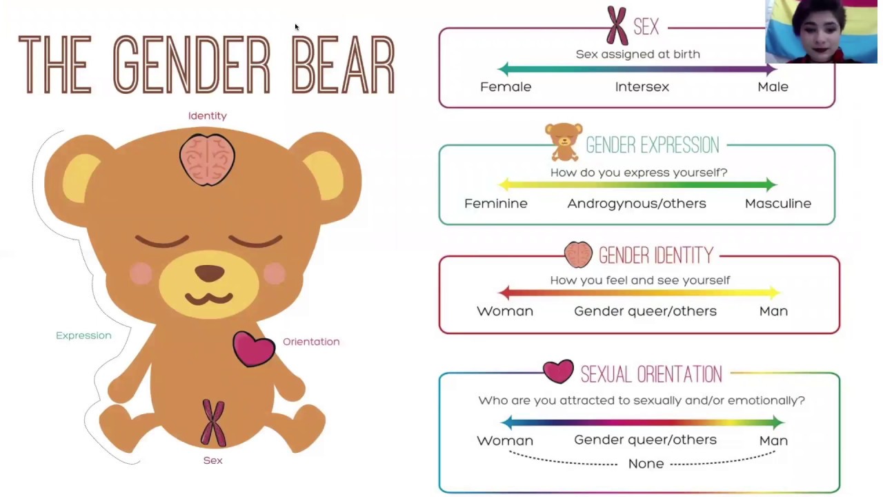 Gender and Sexuality Spectrums -- What Are They and How Do They Affect ...