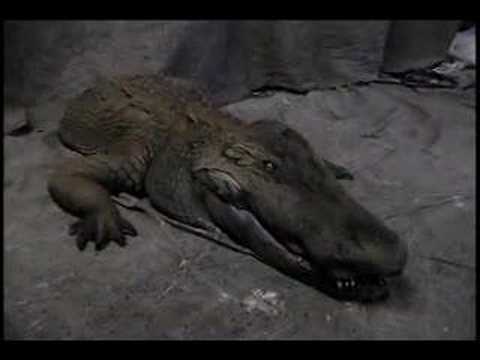 Gator Chomp Head - YouTube