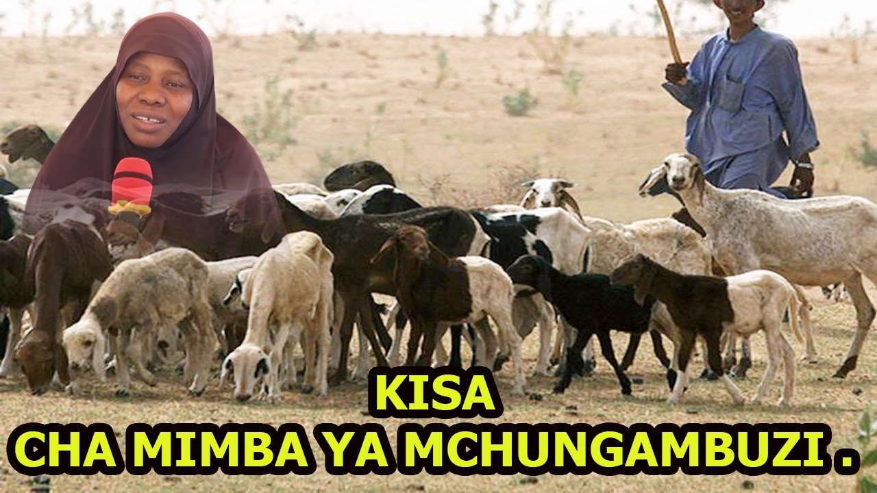 KISA CHA MIMBA YA MCHUNGA MBUZI//UKHTI RIZIKI ABDALLAH - YouTube