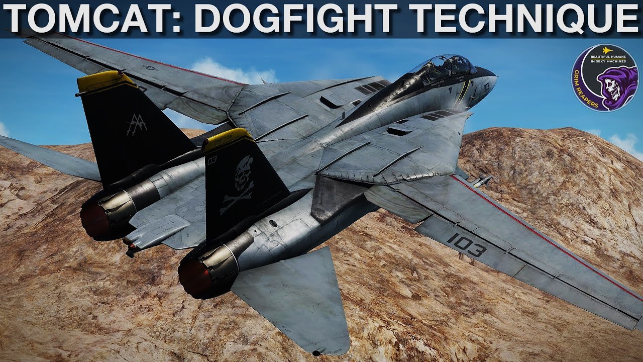F-14B Tomcat: Learning Dogfight Technique With Specialist (Vid 3 of 3 ...
