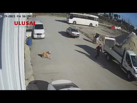 15 yaşındaki çocuk drift atarken kalabalığın arasına daldı 3 yaralı